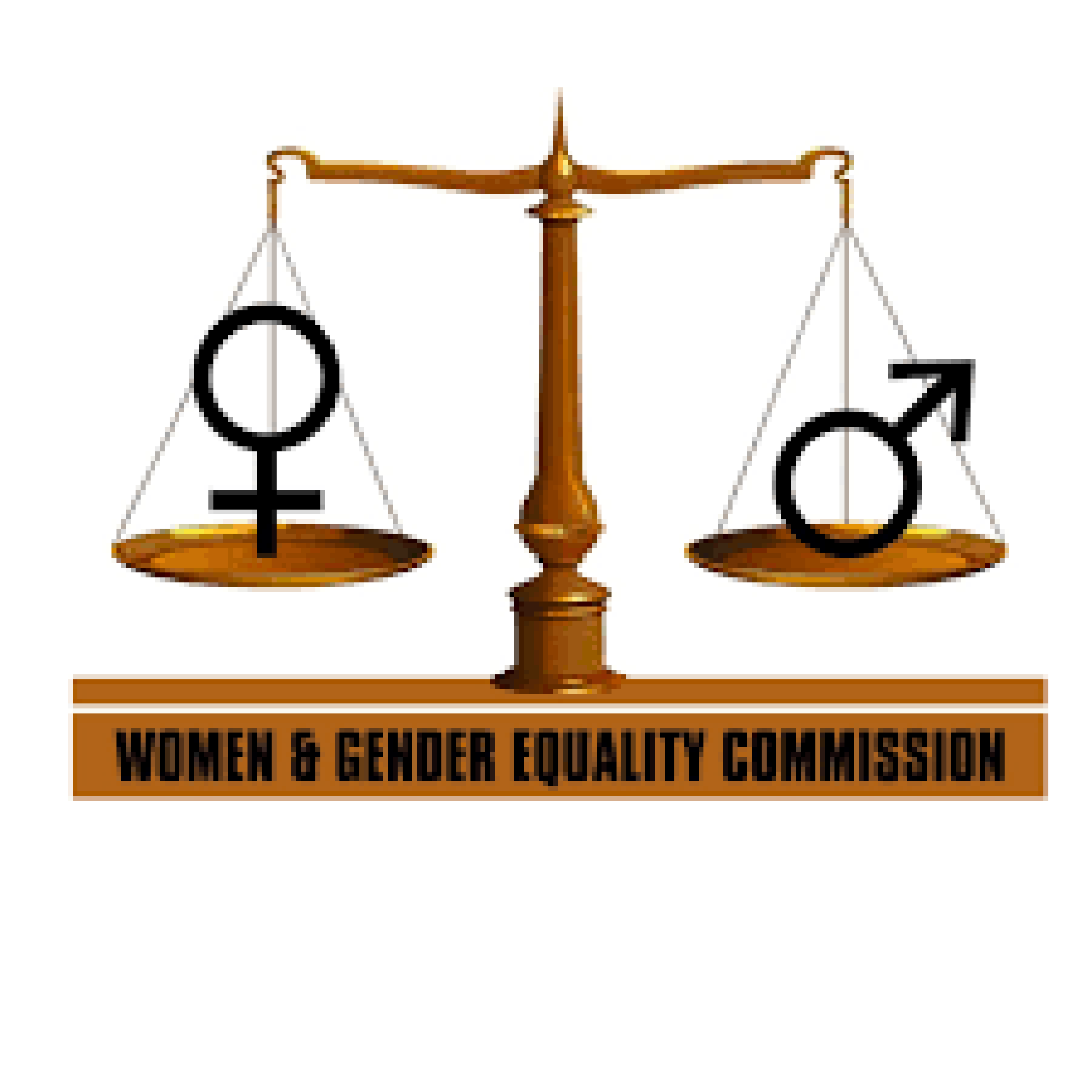 Women and Gender Equality Commission recommends mobile courts for rural ...