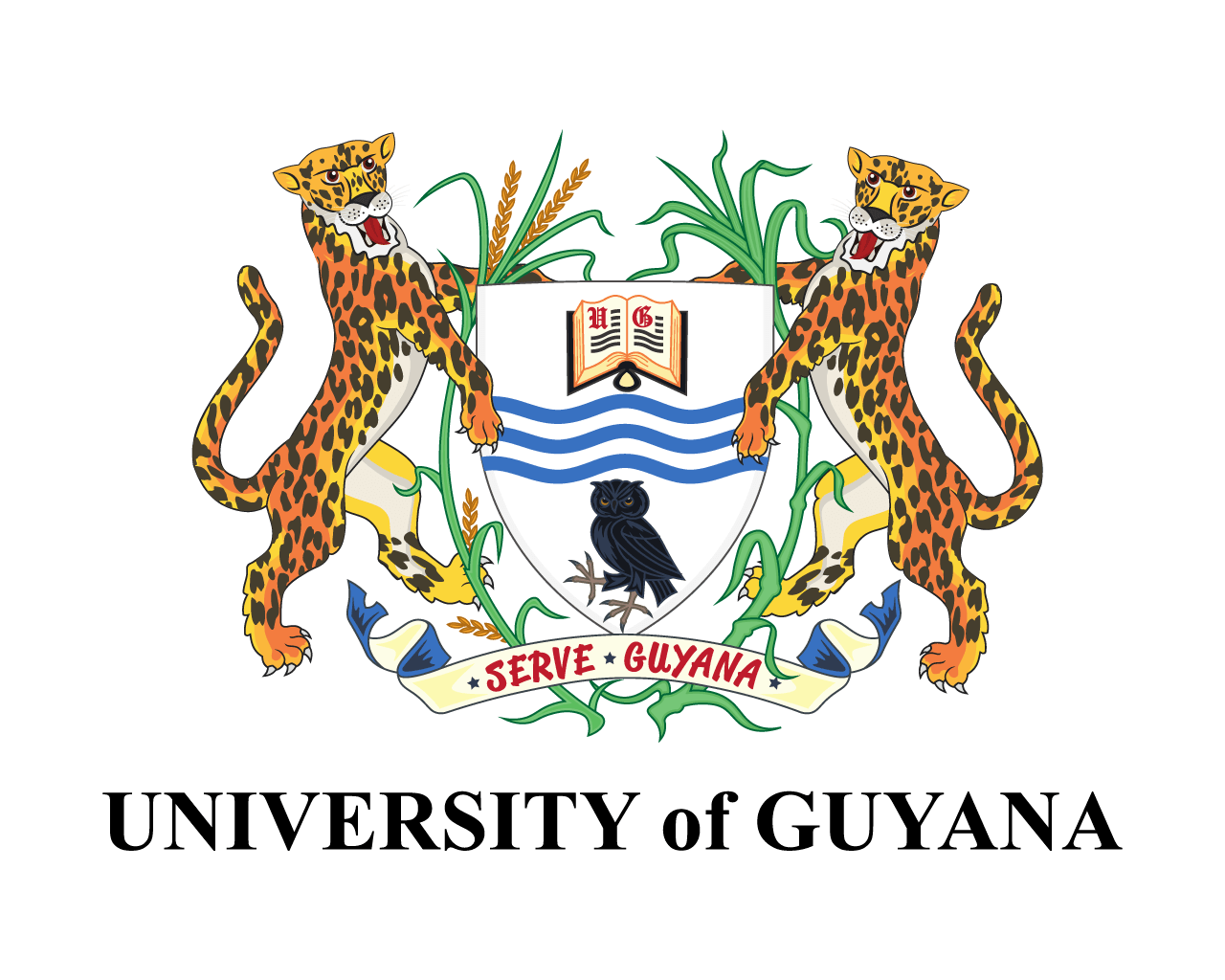 UG drafts new selection process for Athletes and Ethical Code for ...