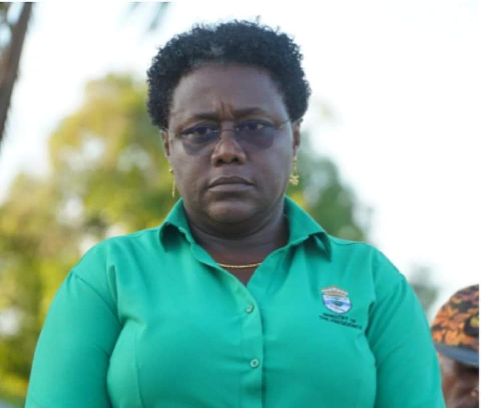 Simona Broomes sues ‘Guyanese Critic’ for $450M over libel, defamation ...