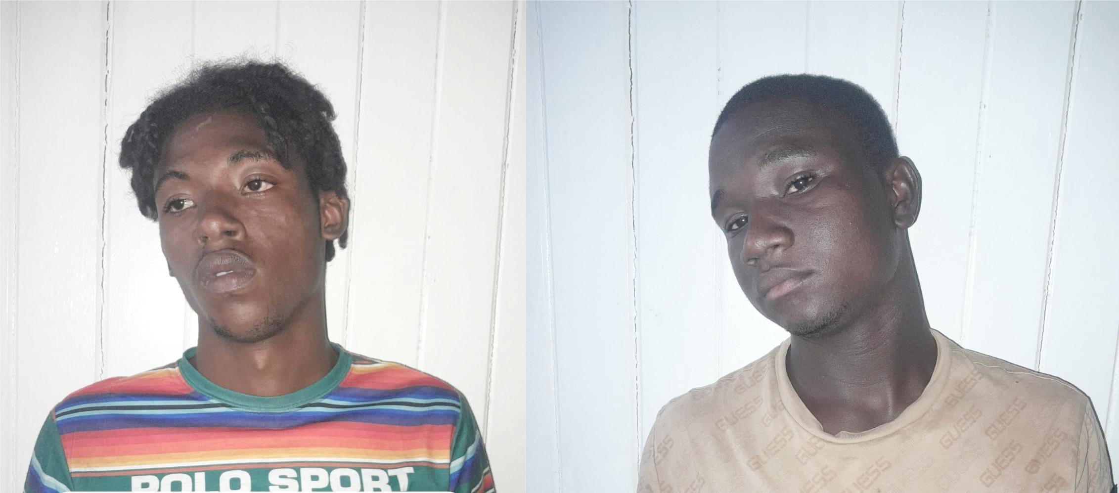 Youths placed on bail for thieving cattle - Kaieteur News