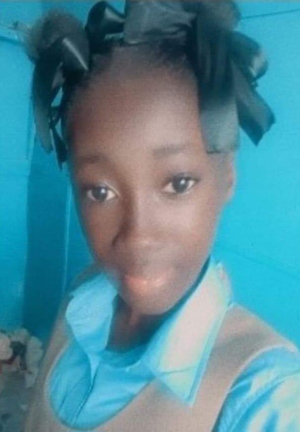 Police issue missing person notice for school girl who disappeared ...
