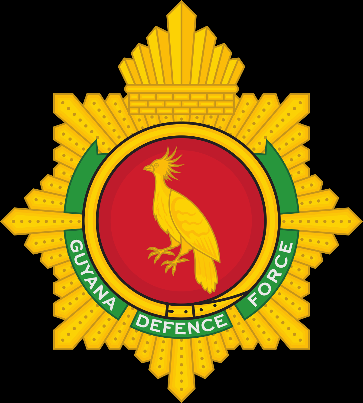 41 GDF officers promoted - Kaieteur News