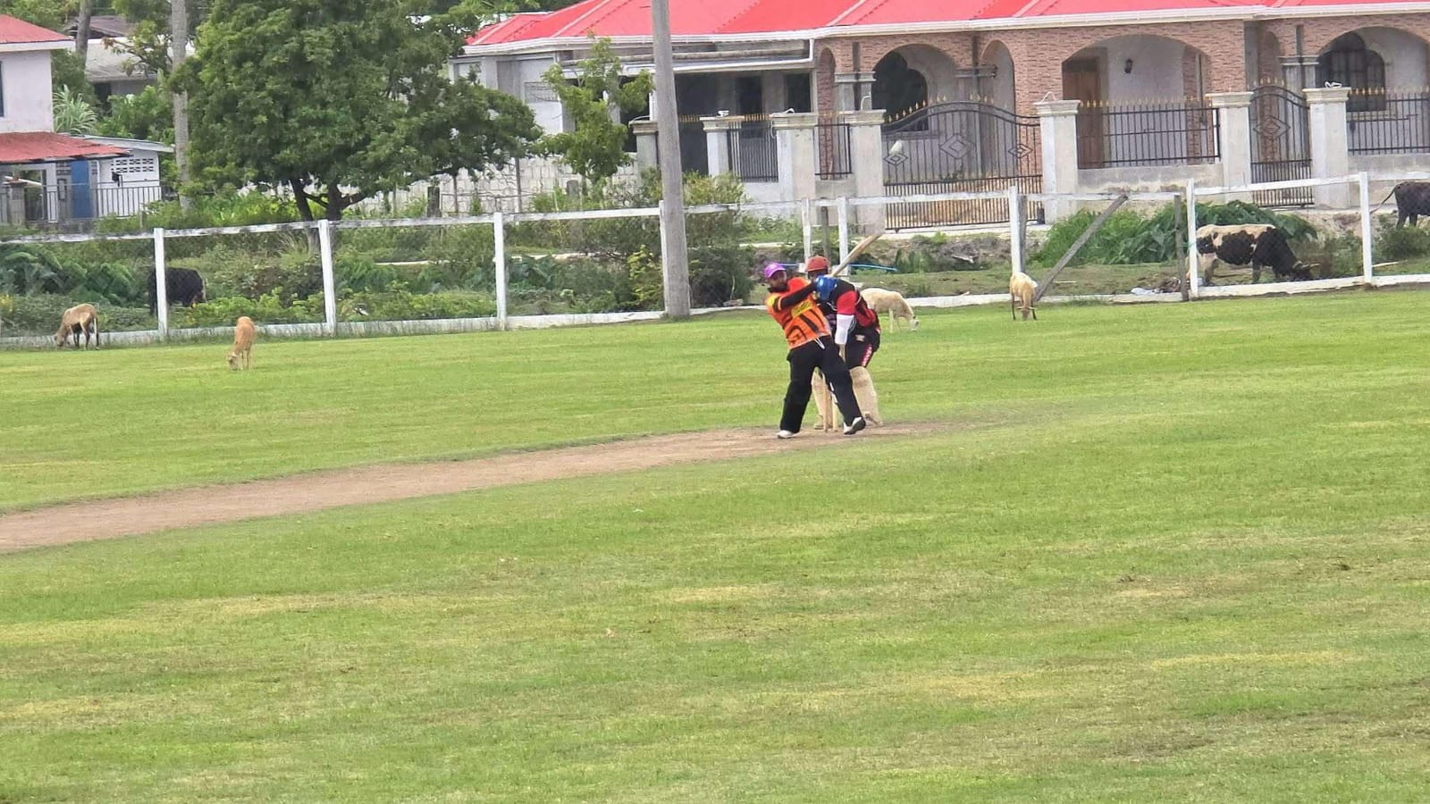 Affiance surge to 51-run win in NECC/Samaroo Investment T20 - Kaieteur News
