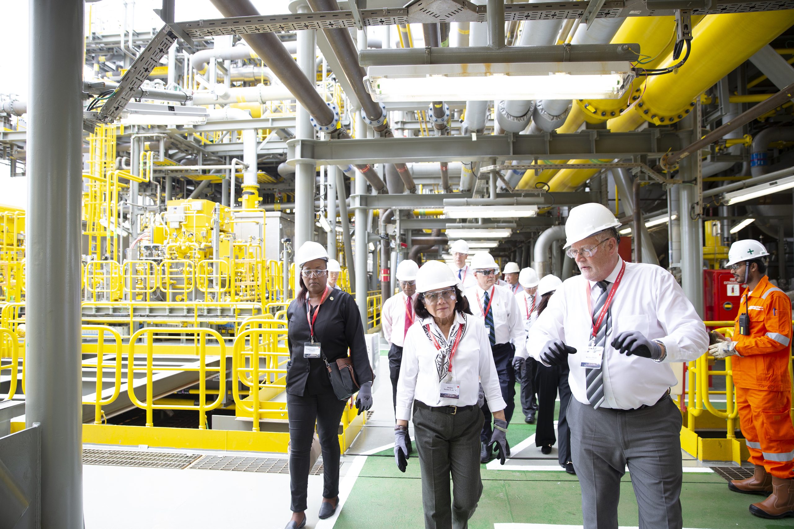 Exxon billed Guyana $19M to fly Sandra Granger, others to Singapore to drape oil ship with ...